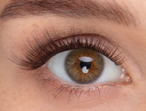 Starter kit - DIY eyelashes - Nanolash South Africa